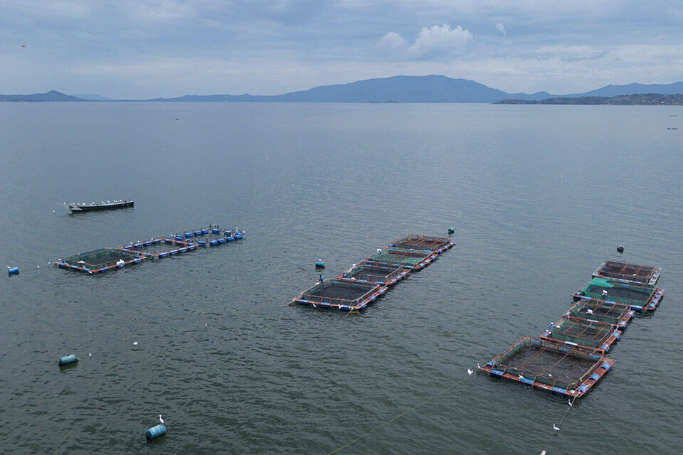 East African Fish Market Assessment - Gatsby Africa