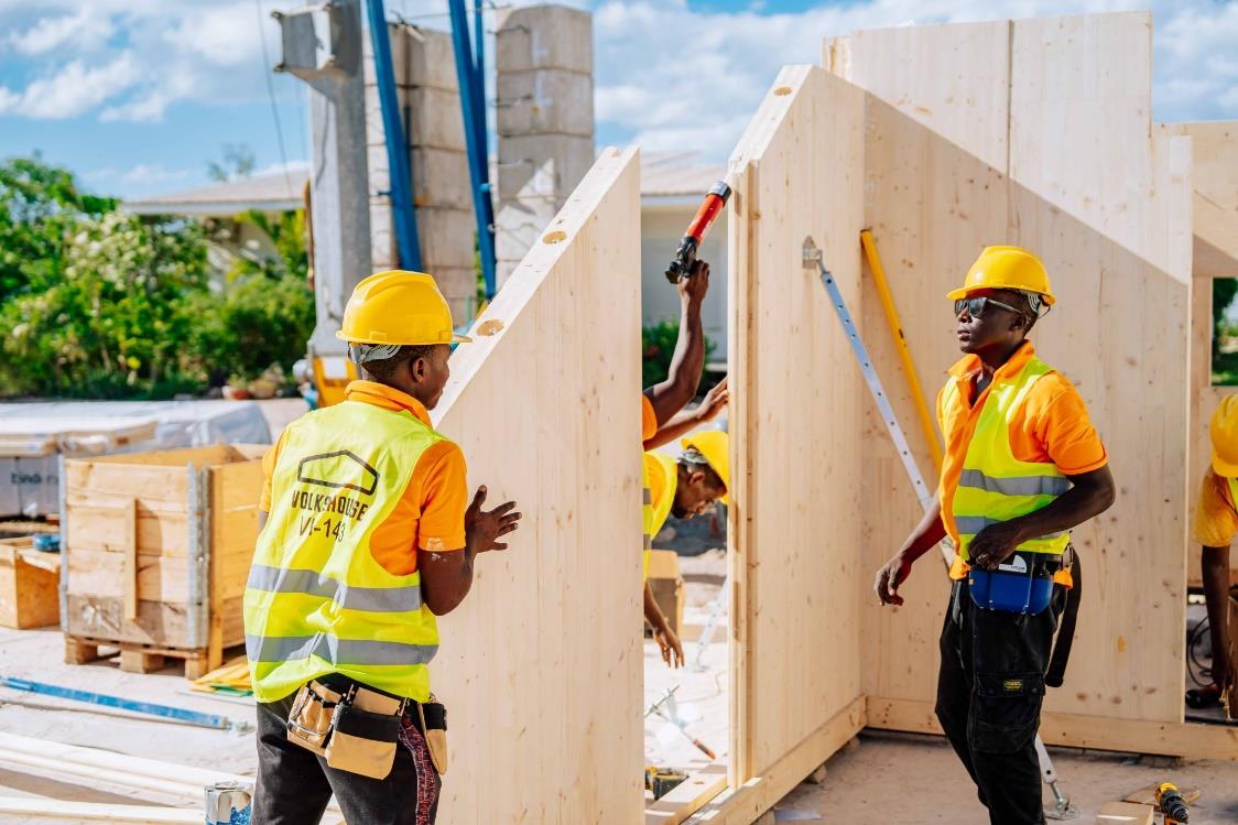 Seeing the wood for the trees: Pioneering sustainable timber ...