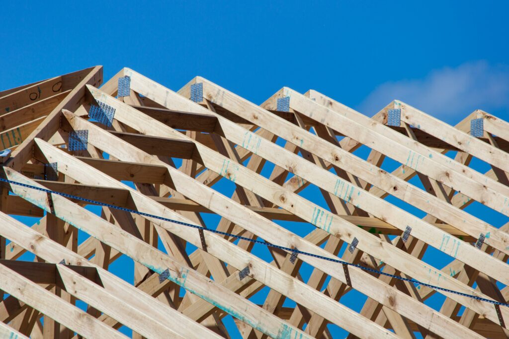 Seeing the wood for the trees: Pioneering sustainable timber ...