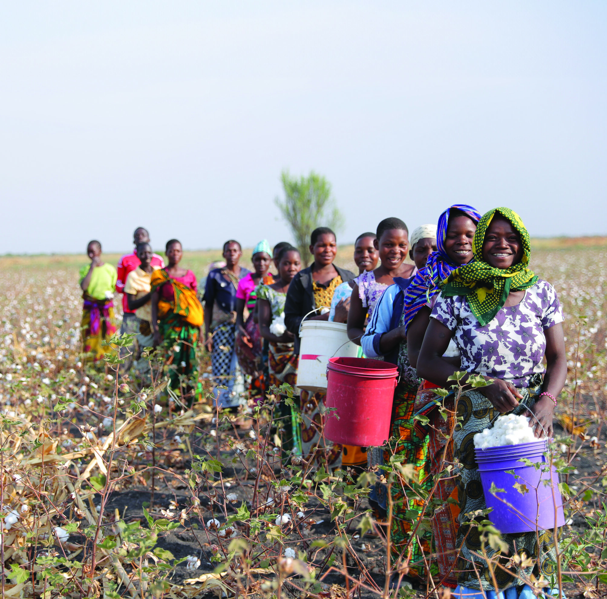 Lessons from Gatsby Africa's Tanzania Cotton Sector Development ...
